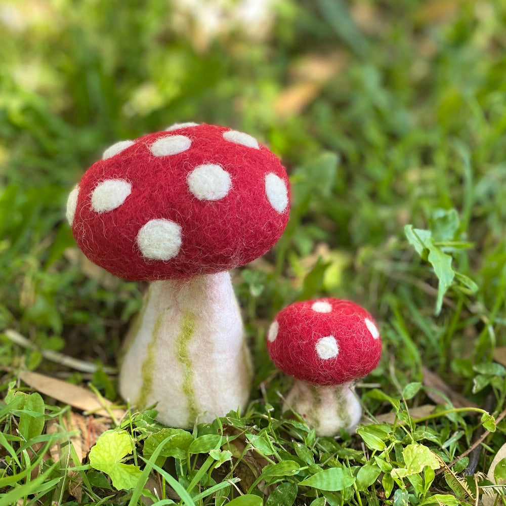 Wool Felt Toadstool | Grassroots Eco Store