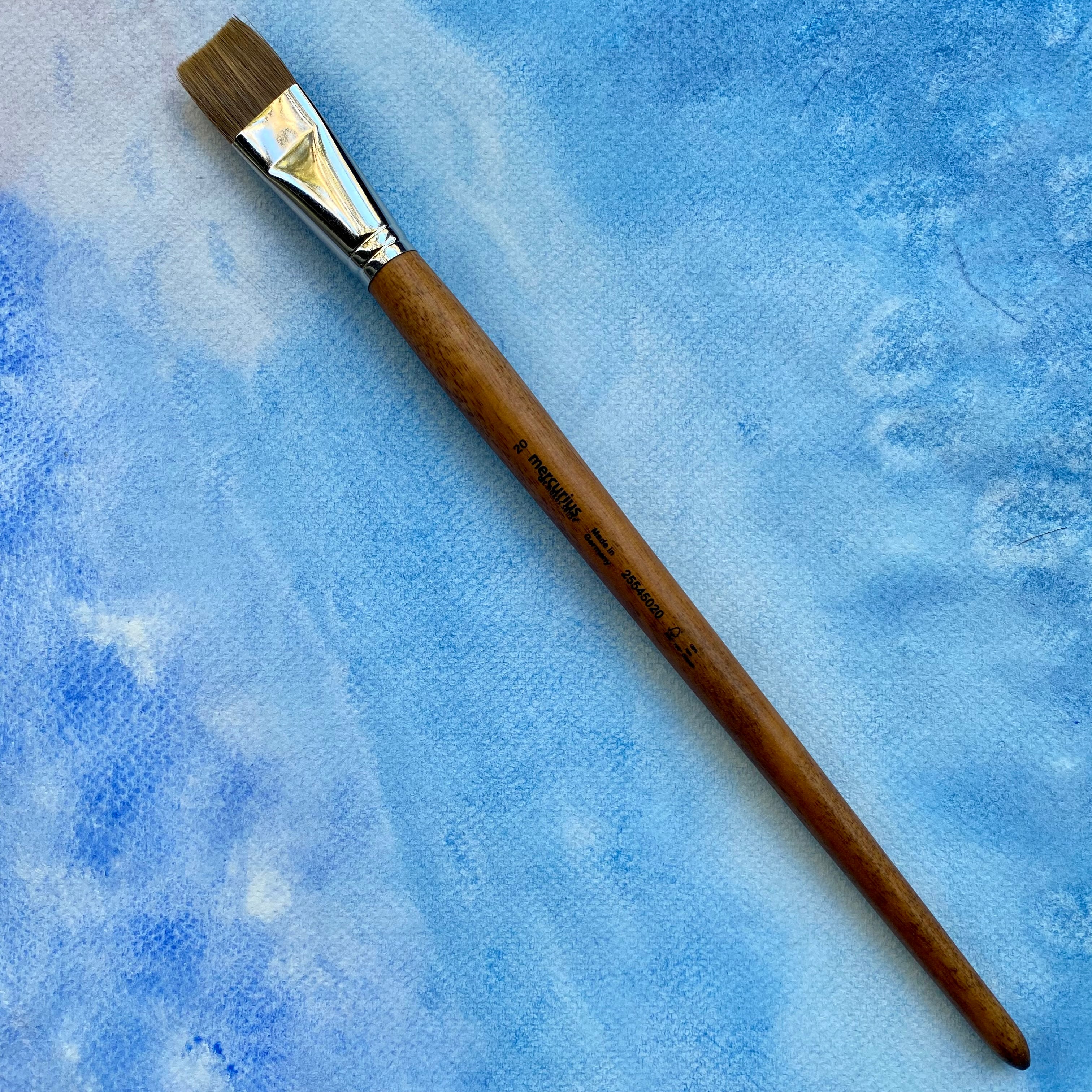 Paintbrush - Size 20, Long Handle